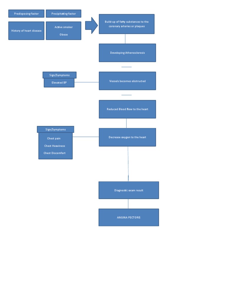 Angina Pectoris Pathophysiology | PDF