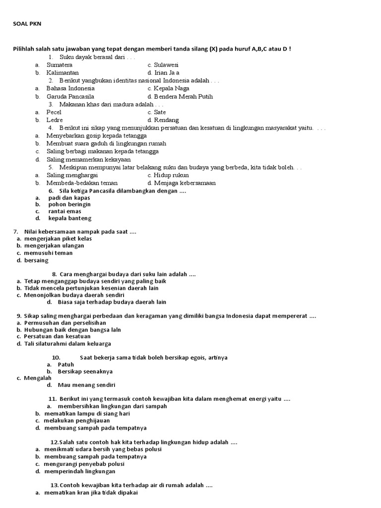 Soal PKN | PDF