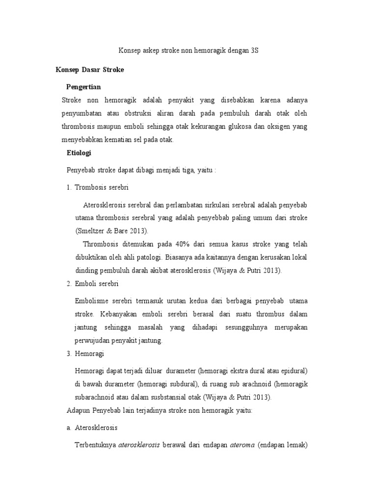 Konsep Askep Stroke Non Hemoragik Dengan 3S | PDF