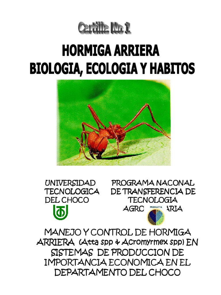 Hormiga Arriera Parte Uno | PDF | Hormiga | Himenópteros