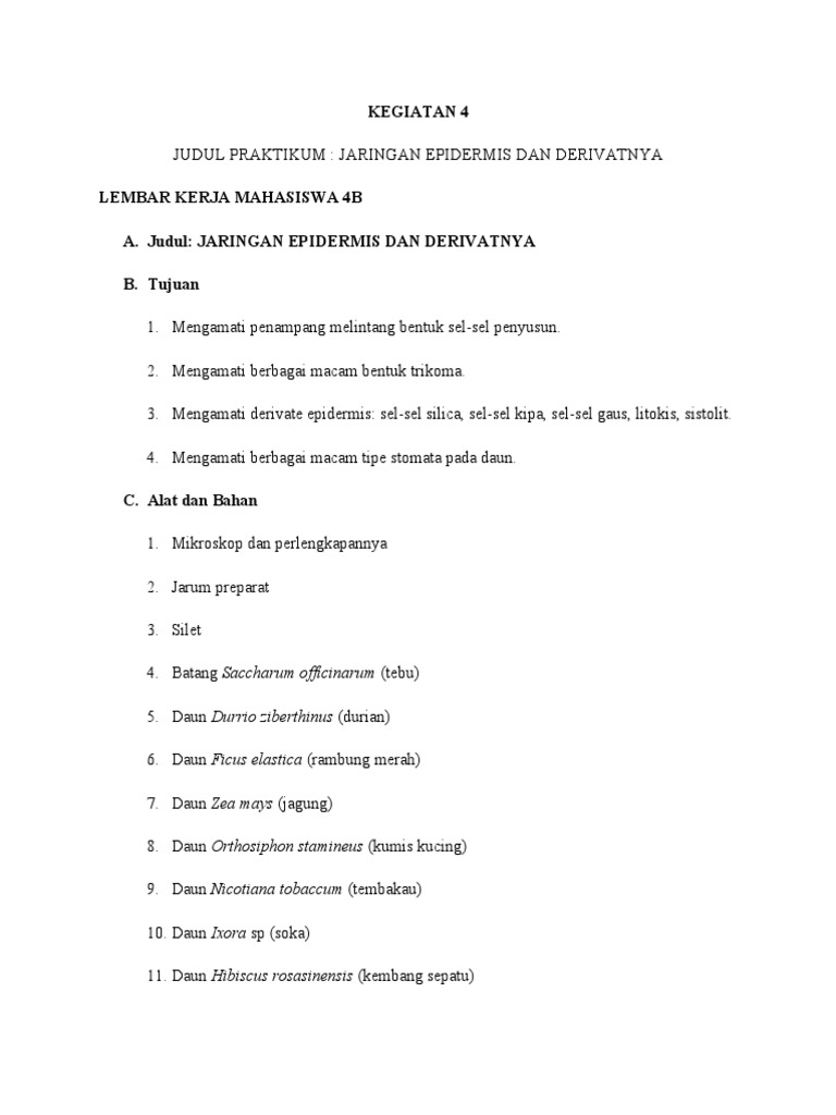 Jaringan Epidermis Tumbuhan dan Derivatnya | PDF