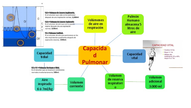 Capacidad Pulmonar | PDF