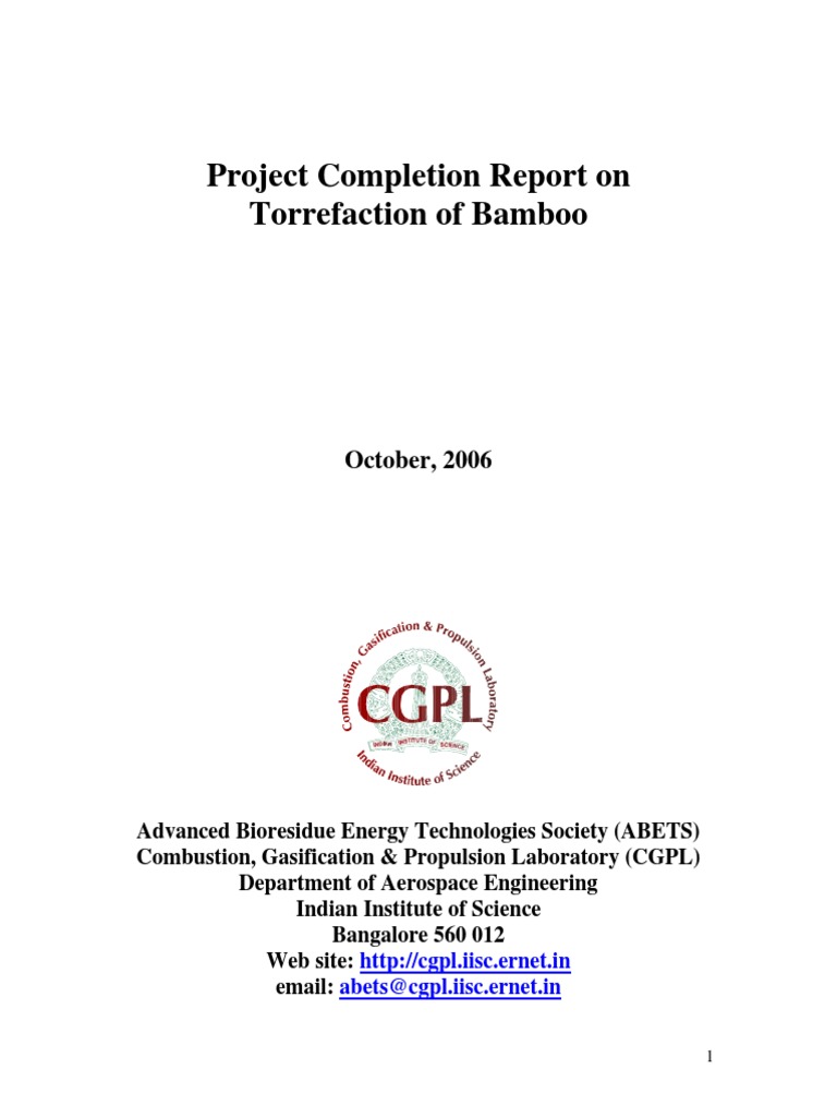 Project Completion Report On Torrefaction of Bamboo | PDF | Biomass ...