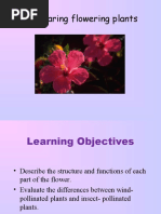 Flower | PDF | Plant Reproduction | Flowers