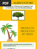 Planting System in Orchards | PDF | Rectangle | Orchard