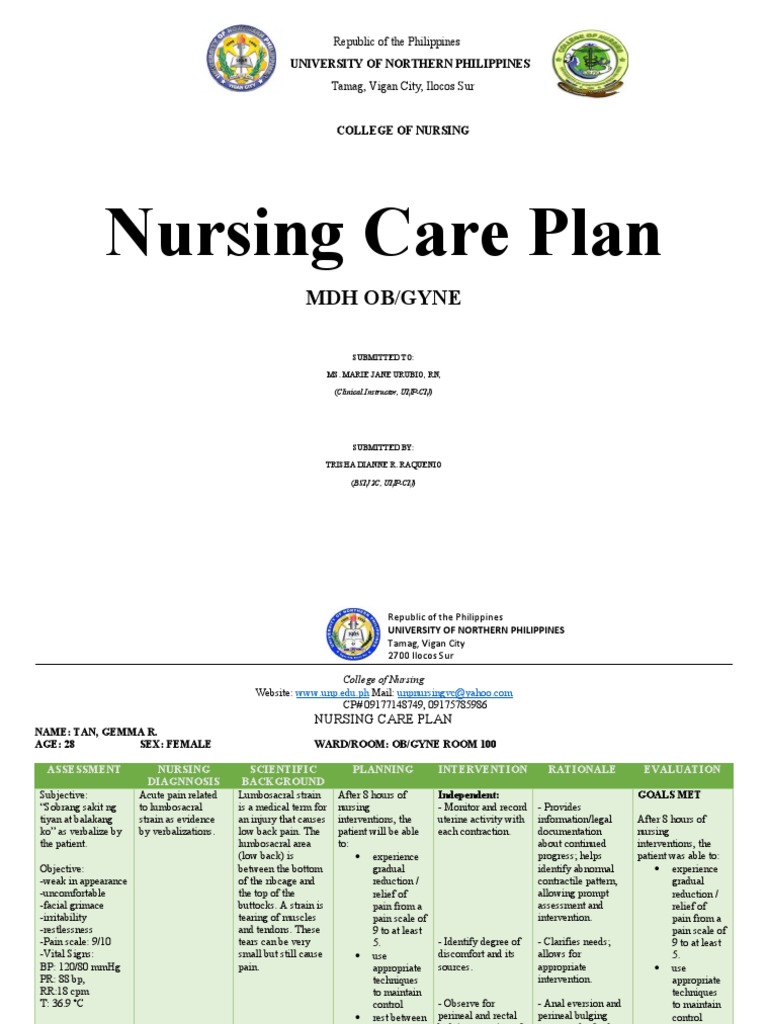 Nursing Care Plan for a 28-Year-Old Female Patient Experiencing Labor ...