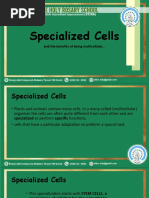 Specialised Animal Cells - Living Organisms - KS3 Biology - BBC ...