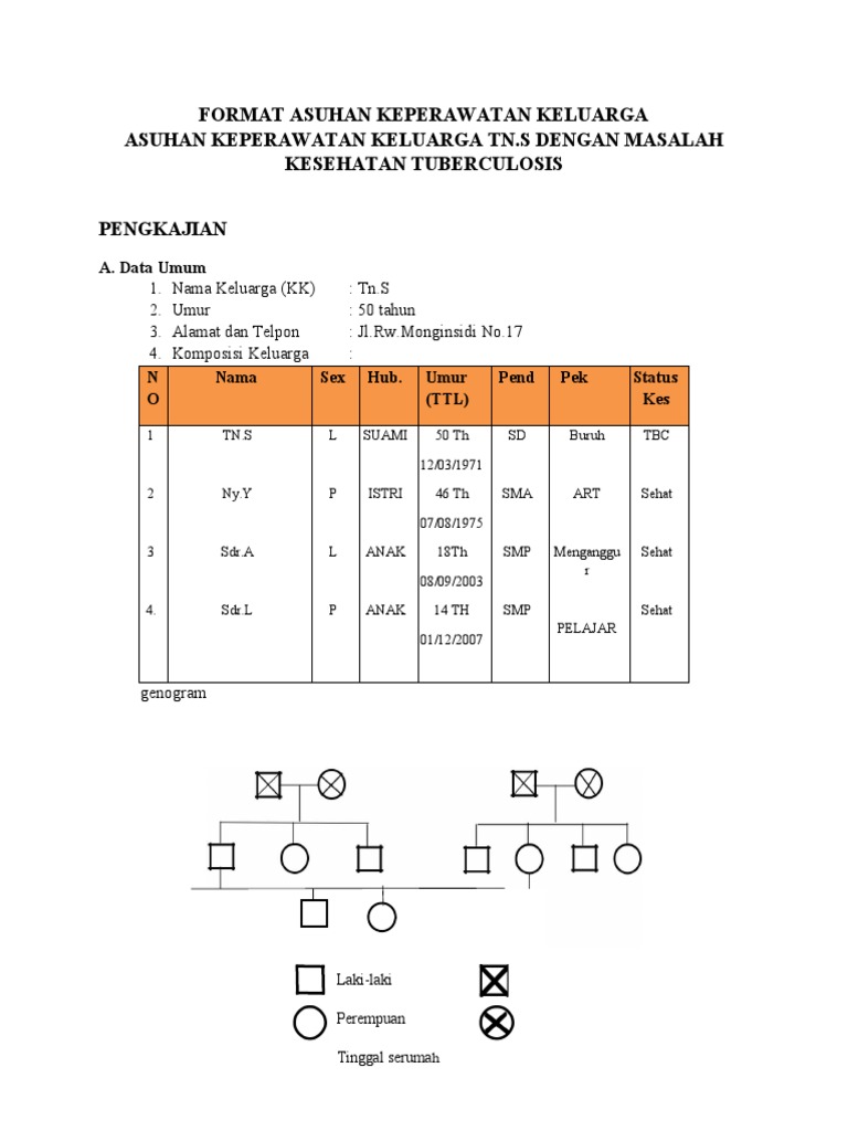 Format Asuhan Keperawatan Keluarga | PDF