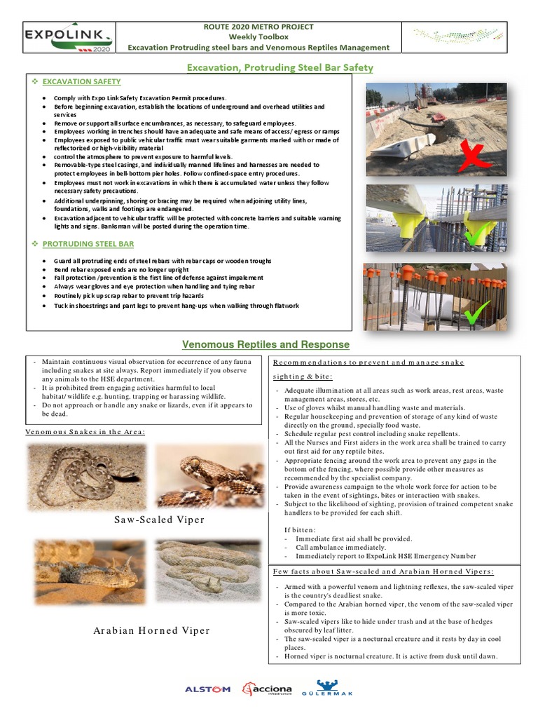 Expolink TBT # 86 - Excavation Protruding Steel Bar and Venomous ...