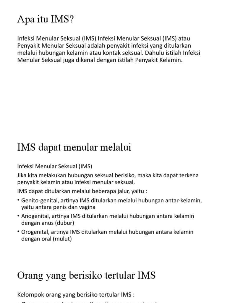 Apa Itu IMS | PDF