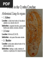Points in The Cymba Conchae | PDF