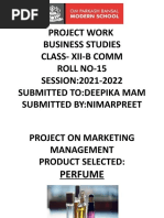 Economics Project SHG Class12th (2019-20) | PDF