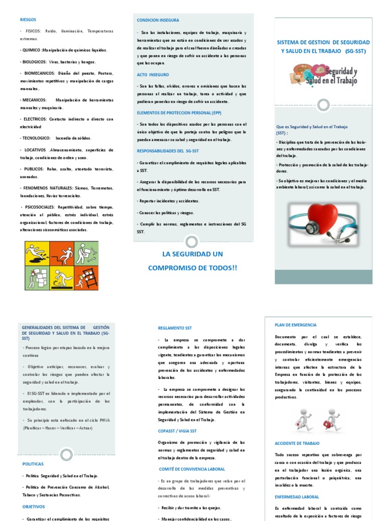 Plegable SST | PDF | Ciencias de la Salud