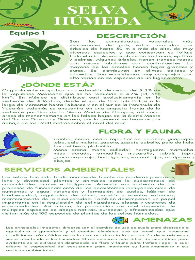 Selvas Húmedas | PDF | Selva | Biodiversidad