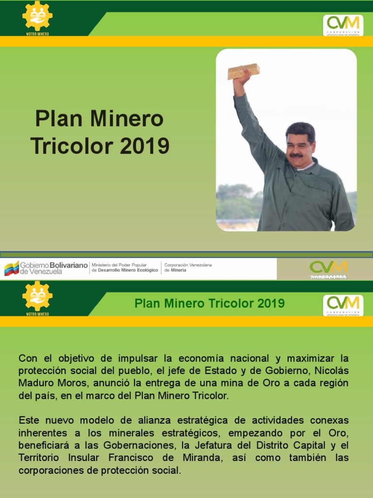 Plan Minero Gobernaciones1 | PDF | Minería
