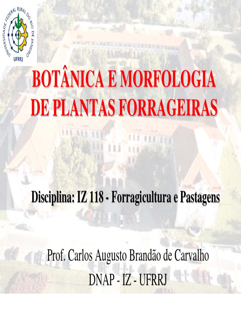 Aula 2 - Morfologia IZ 118 | PDF | Folha | Raiz