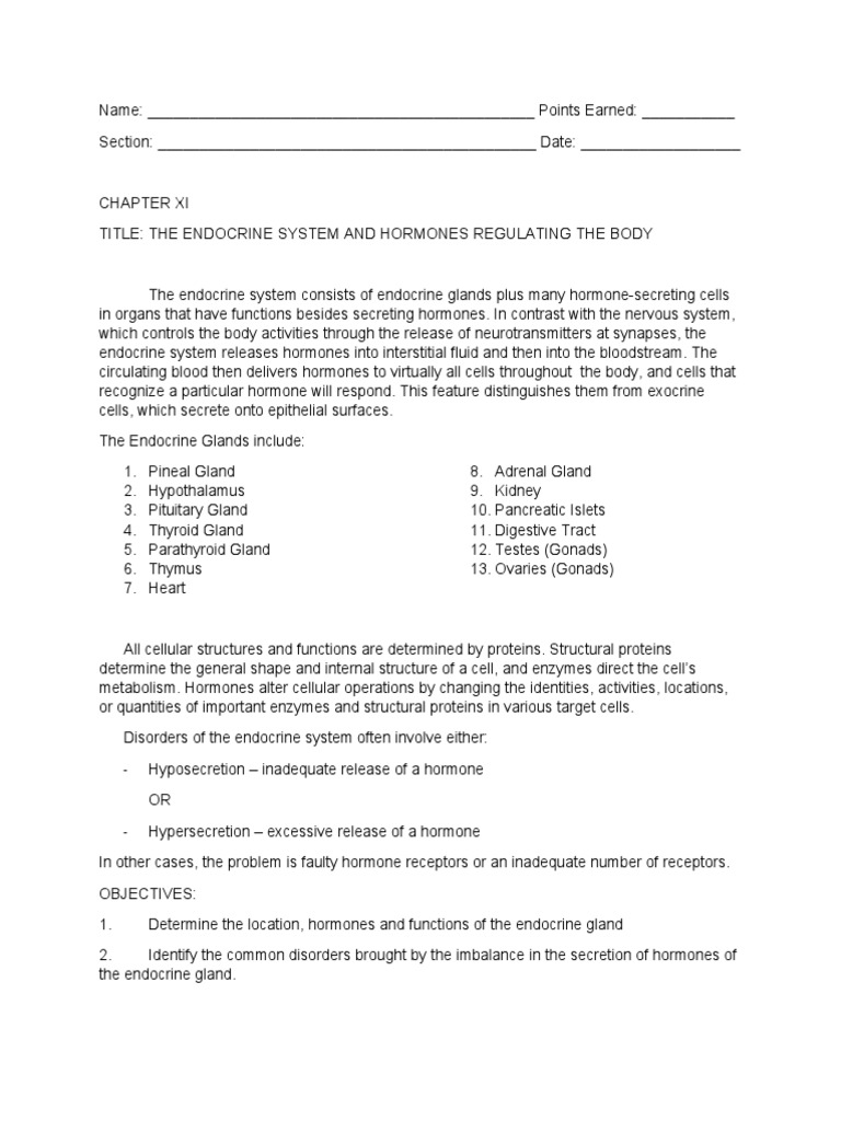 Chapter 11 - Endocrine System | PDF | Endocrine System | Clinical Medicine