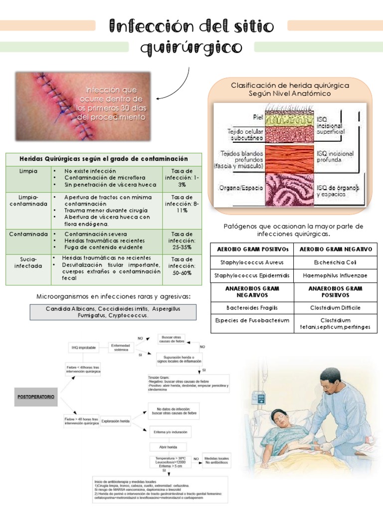 Infografía, Infección Del Sitio Quirúrgico | PDF | Epidemiología | Biología