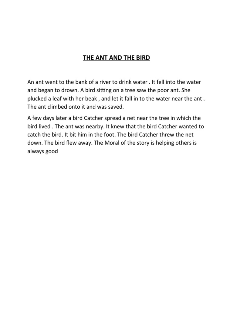 Ant and Bird: A Tale of Friendship | PDF