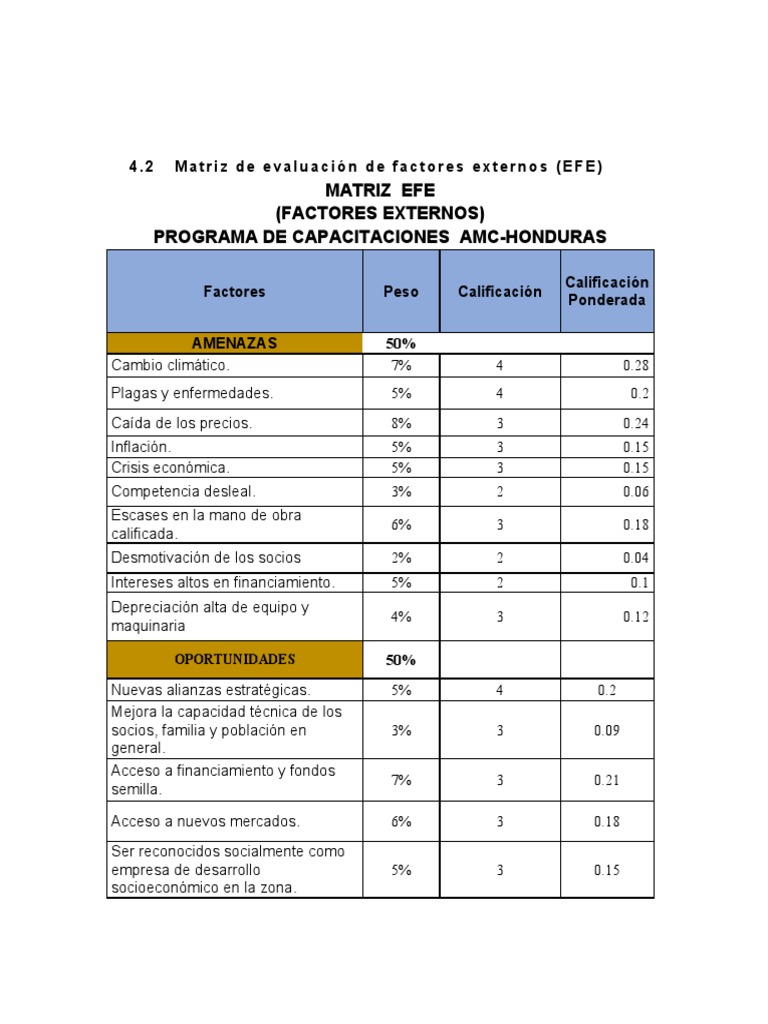 Matriz de Evaluación de Factores Externos | PDF | Economias