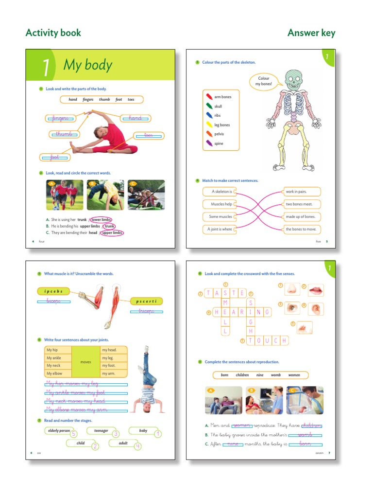 Kids' Body and Health Activity Book | PDF | Lunch | Foods