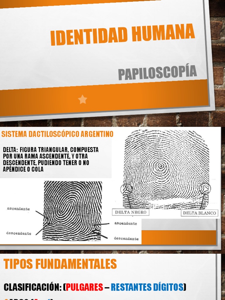 Identidad Humana | PDF | Métodos y materiales de enseñanza