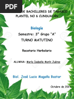 Recetario Herbolario | PDF | Té | Albahaca