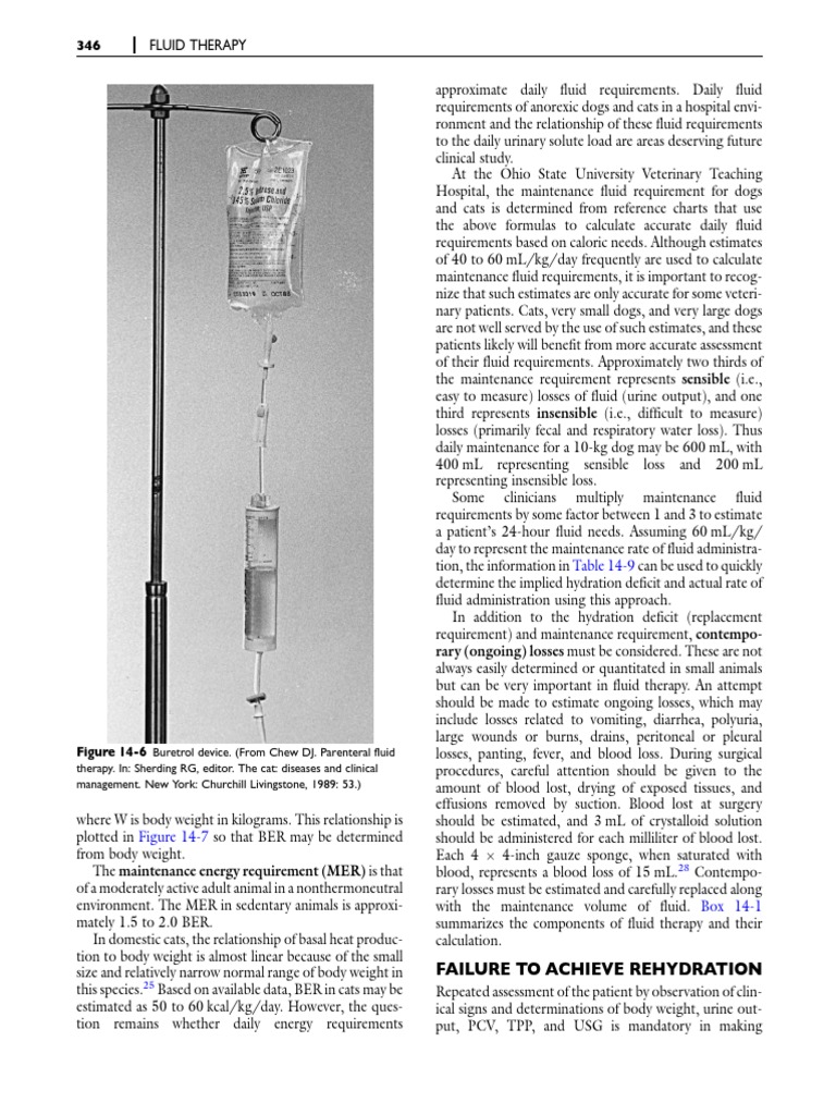 Fluid Therapy in Veterinary Practice | PDF | Intravenous Therapy | Catheter