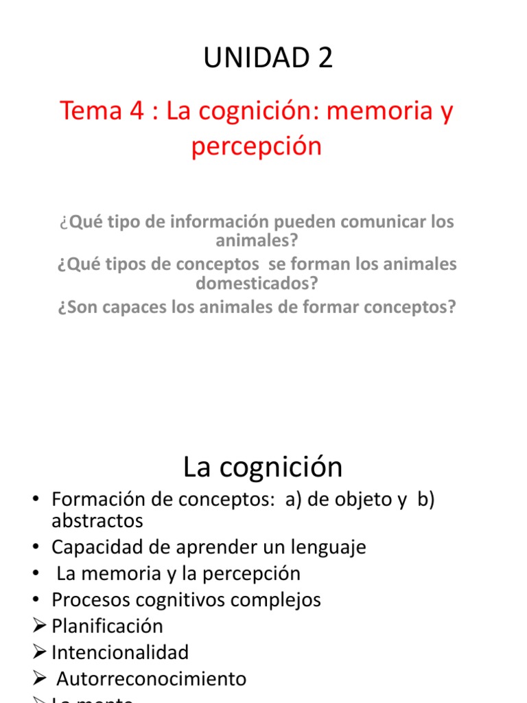 La cognición animal: memoria, percepción y formación de conceptos | PDF ...