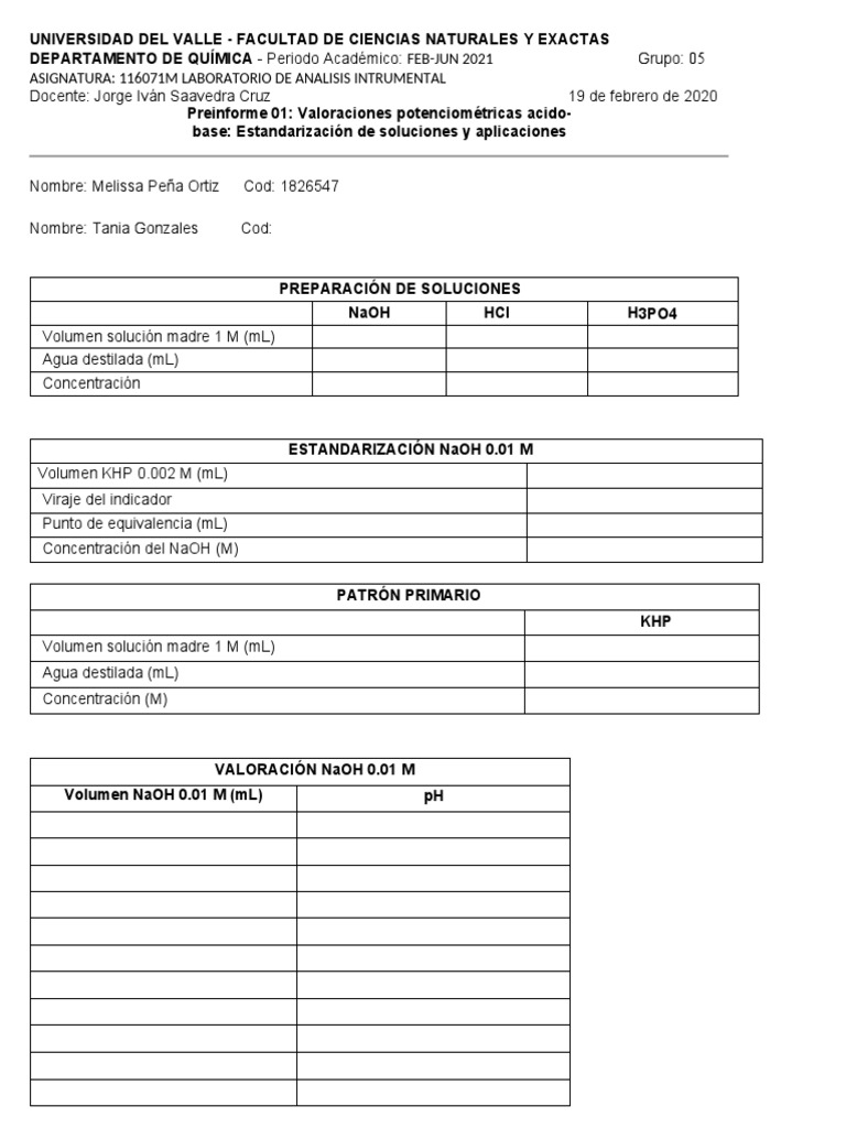 Formato Pre Informe | PDF
