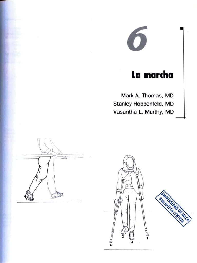 Ciclo de la marcha en rehabilitación | PDF | Rodilla | Tobillo