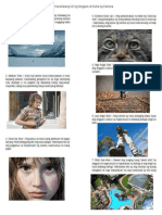 Identification Test | PDF