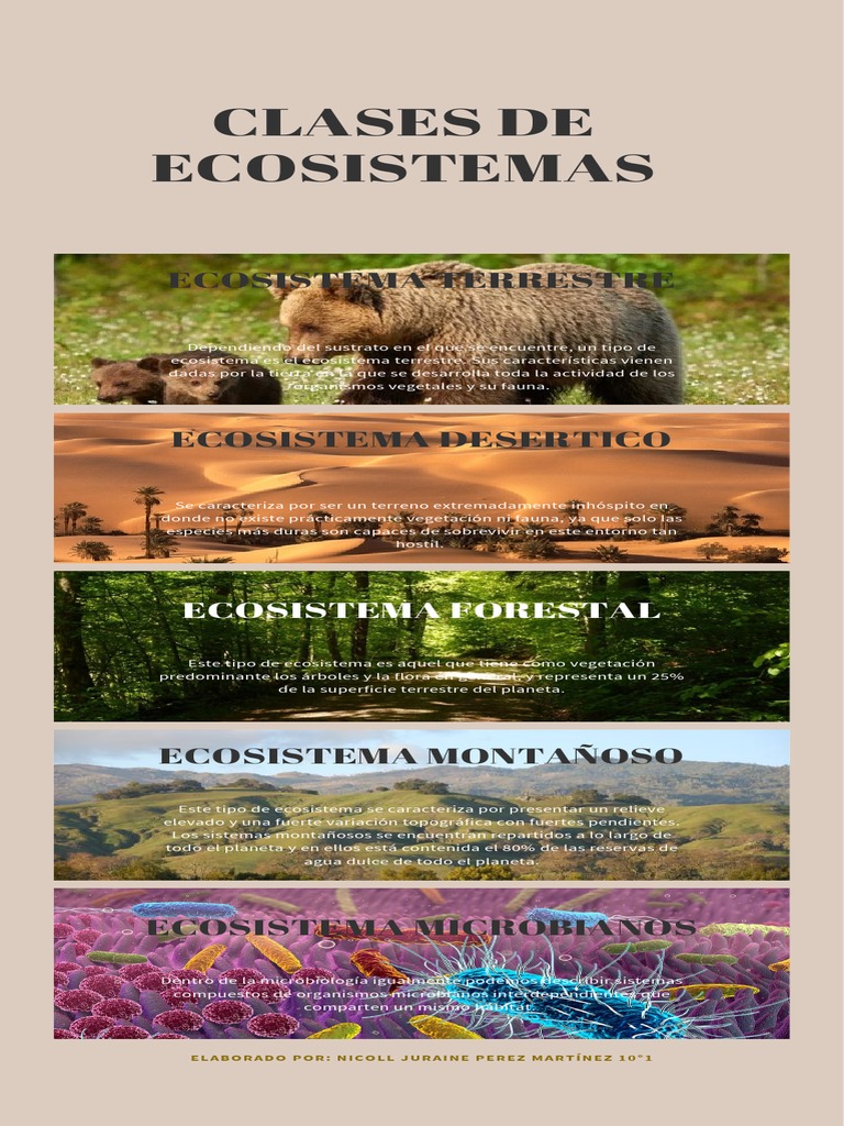 Clases de Ecosistemas | PDF