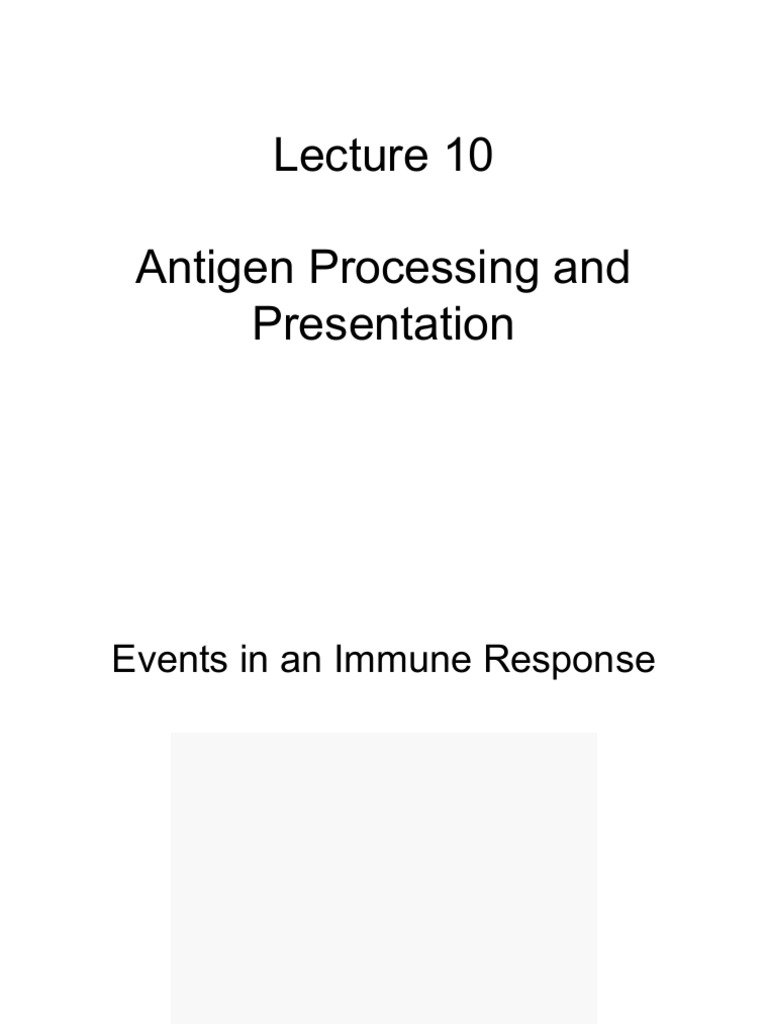Antigen Processing and Presentation | PDF | Mhc Class I | Major Histocompatibility Complex