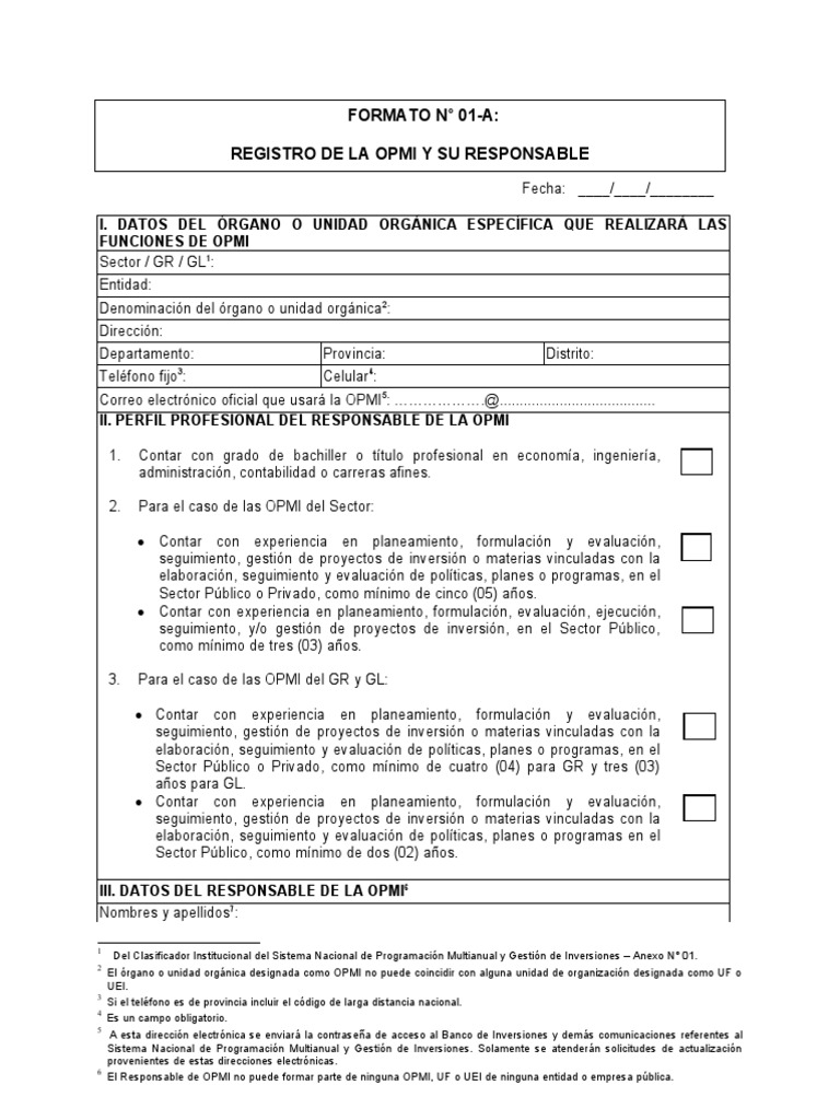 Formato #01-A - Registro de La OPMI y Su Responsable. | PDF