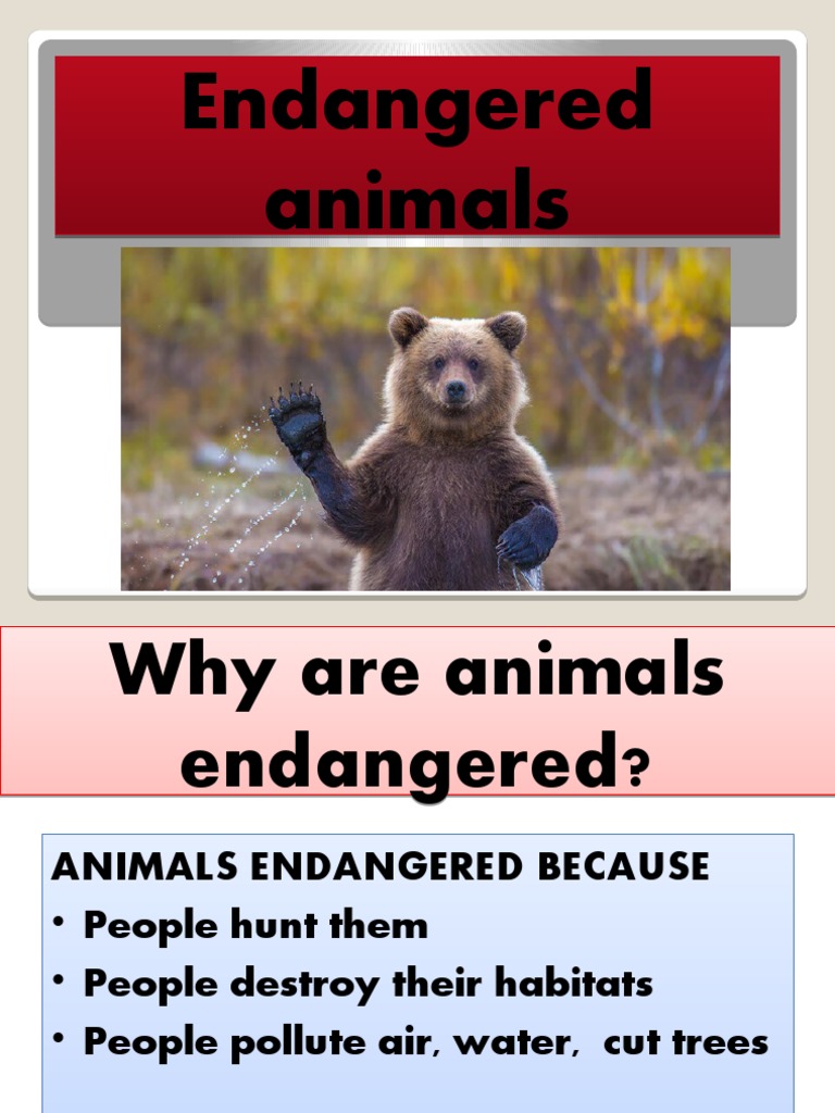 Endangeredanimals Conversation Topics Dialogs 123874 | PDF