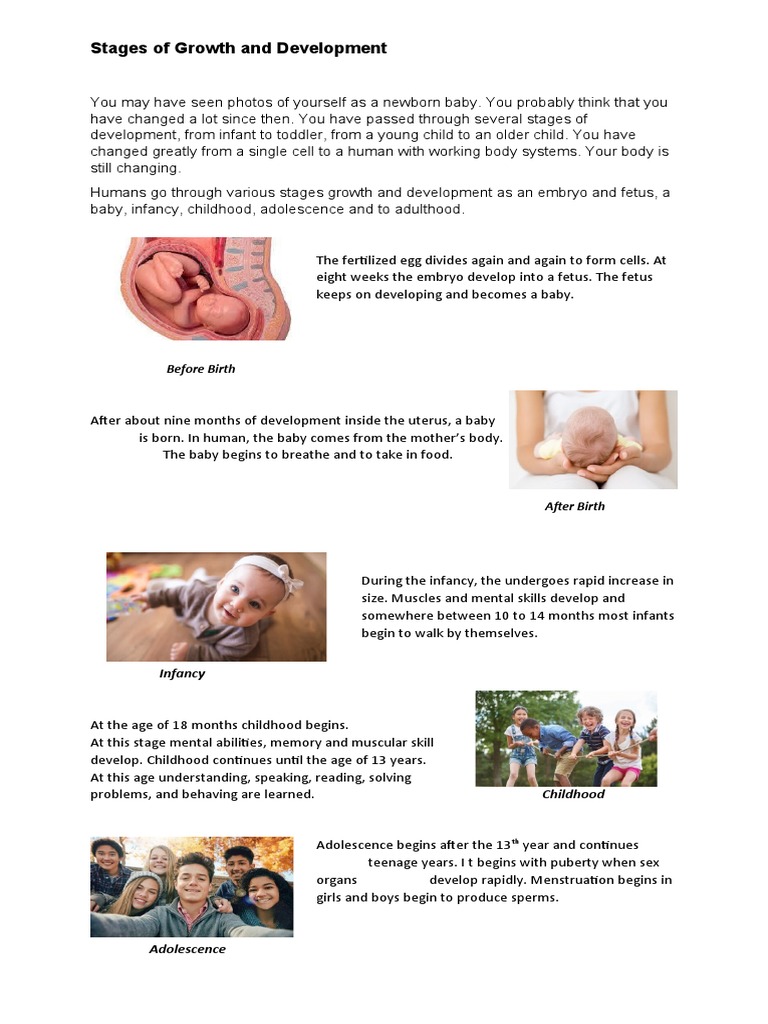 Stages of Human Growth and Development | PDF | Reproduction | Biology