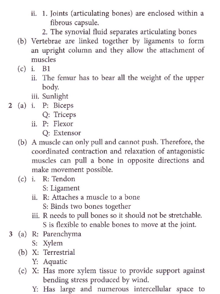 Jawapan Bio Form 5 Chapter 2 Structure | PDF | Tissue (Biology) | Anatomy