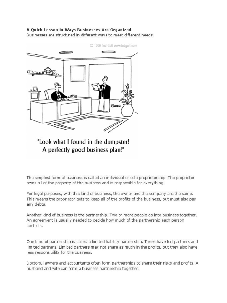 A Quick Lesson in Ways Businesses Are Organized | PDF