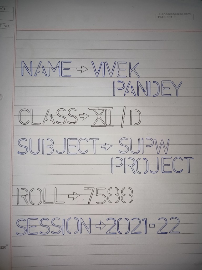 Supw Project by Vivek Pandey | PDF