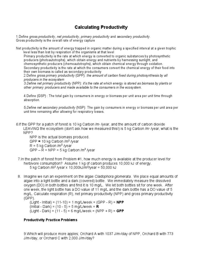 Calculating Productivity | PDF | Primary Production | Ecosystem