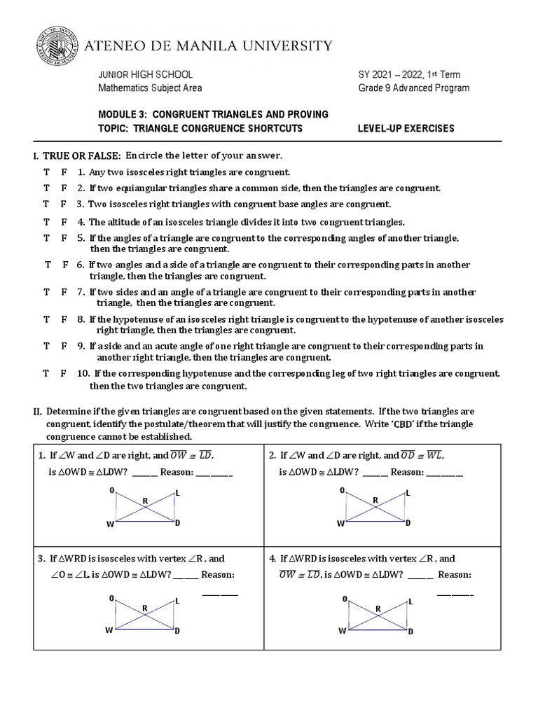3.1E Triangle Congruence Level Up Exercises | PDF | Triangle ...