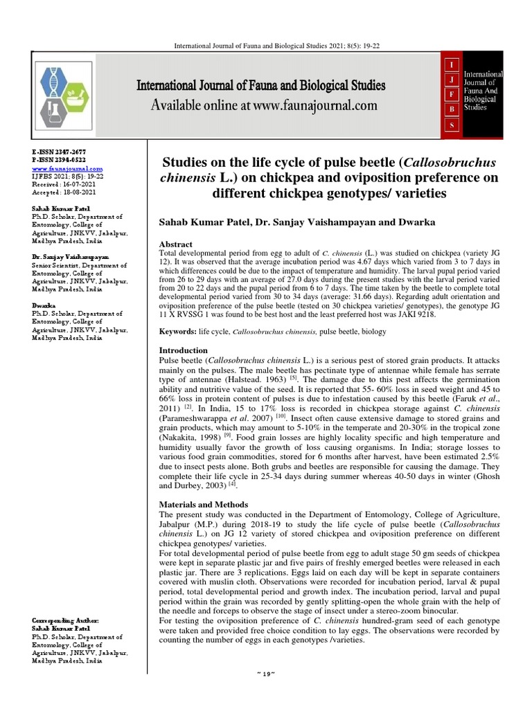 Studies On The Life Cycle of Pulse Beetle (Callosobruchus Different ...