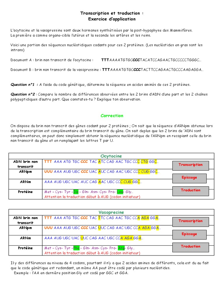 Transcription Et Traduction: Exercice D'application: Correction | Descargar gratis PDF | Code ...