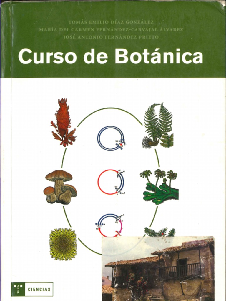 Curso de Botánica | PDF
