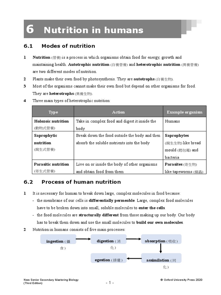 Understanding Human Nutrition: A Breakdown of the Key Processes and ...
