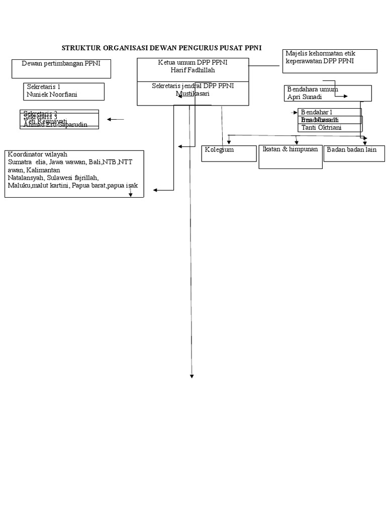 Struktur Pengurus Ppni | PDF