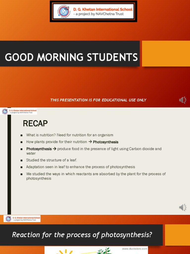 Grade 9 Photosynthesis | PDF | Photosynthesis | Glucose