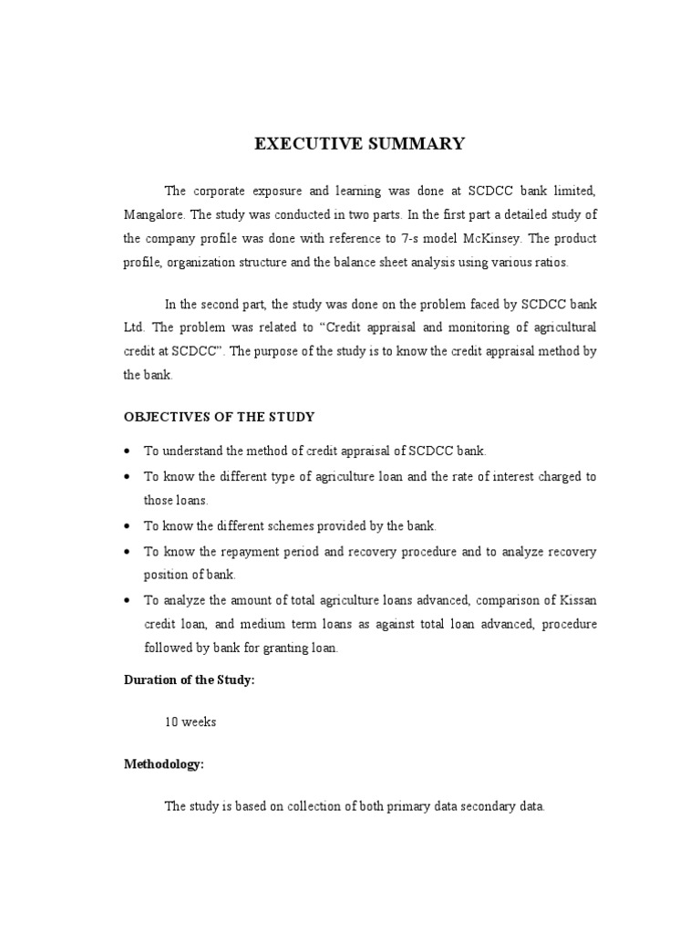 Executive Summary: Objectives of The Study | PDF | Loans | Credit