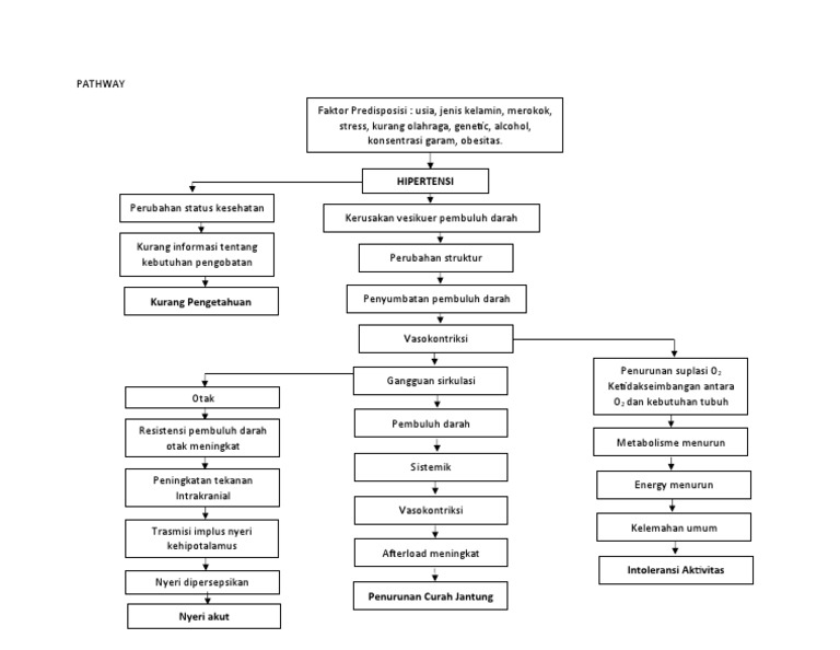 Pathway Hipertensi | PDF